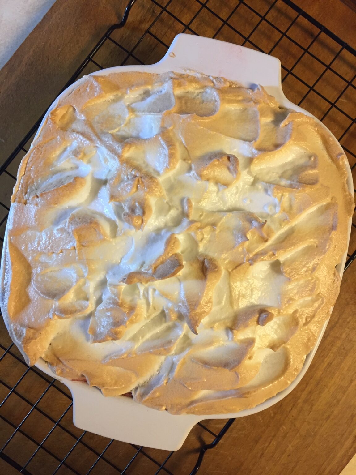 Rhubarb Torte ~ Easy and yummy dessert recipe! - lakegirlquilts