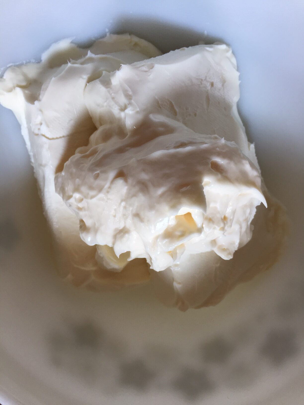 Garlic and Onion Chip Dip ~ Our Favorite! - lakegirlquilts