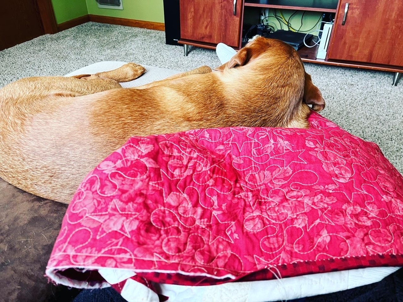 How to Make a Pet Quilt with Upcycled Fabric - lakegirlquilts