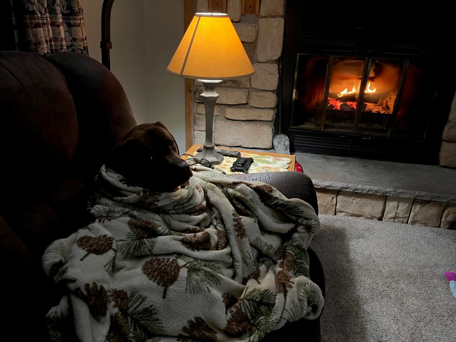 How to Make a Pet Quilt with Upcycled Fabric - lakegirlquilts