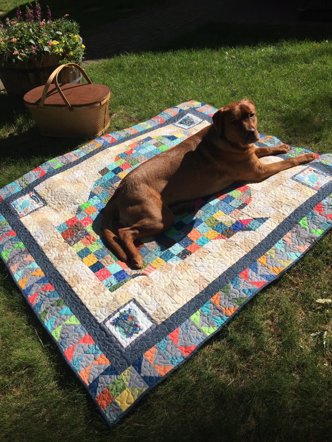 How to Make a Pet Quilt with Upcycled Fabric - lakegirlquilts