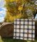 Harvest Stars ~ Easy Beginner Quilt Pattern - lakegirlquilts
