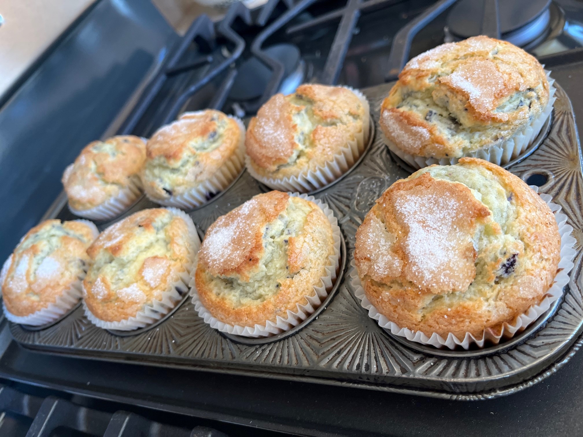 Homemade Blueberry Muffins Recipe - lakegirlquilts