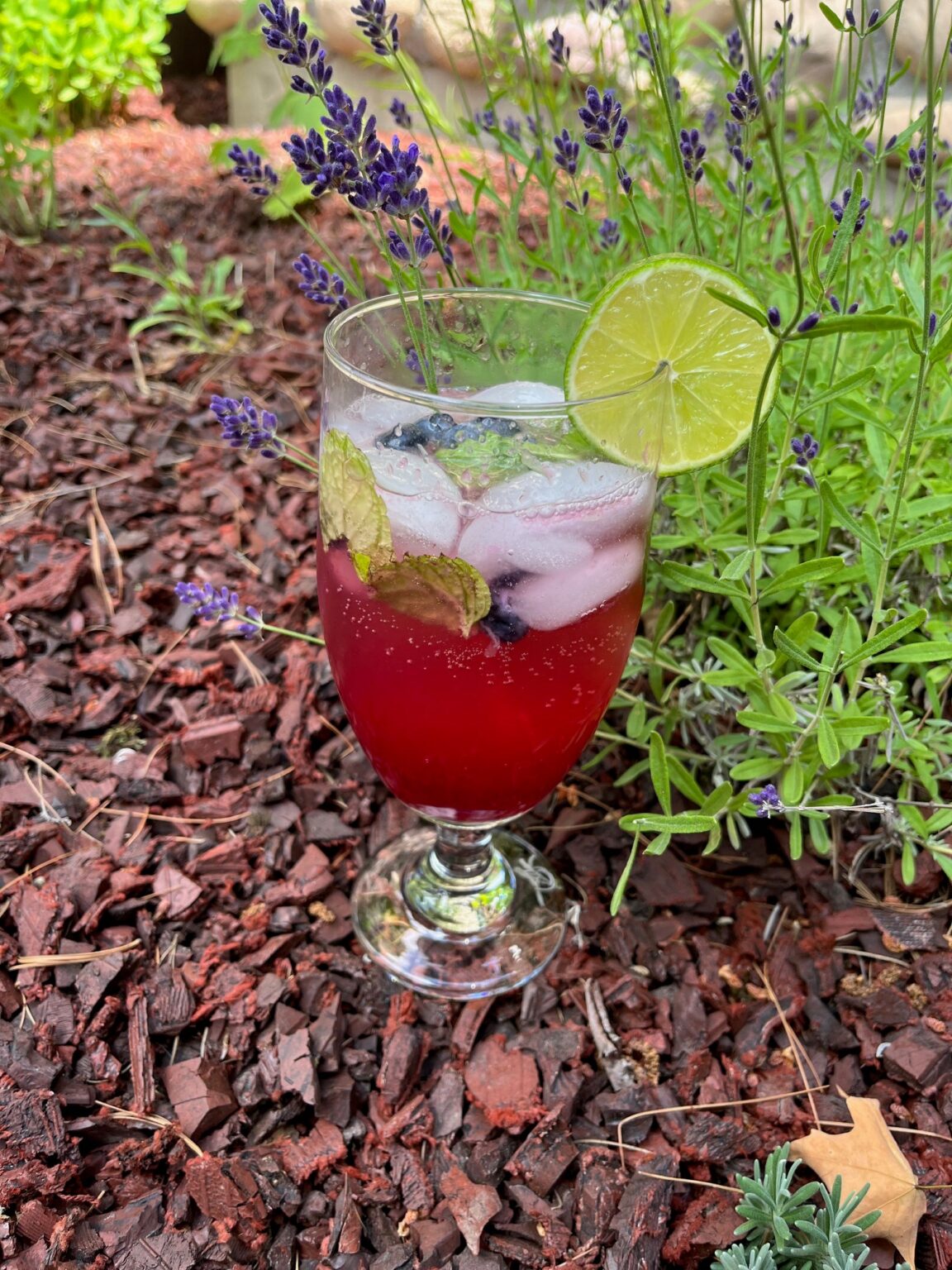 Blueberry Lavender Mojito Recipe - lakegirlquilts