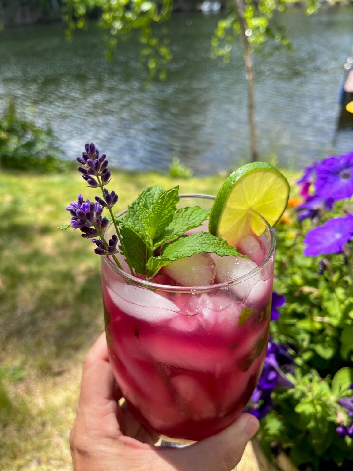 Blueberry Lavender Mojito Recipe - lakegirlquilts